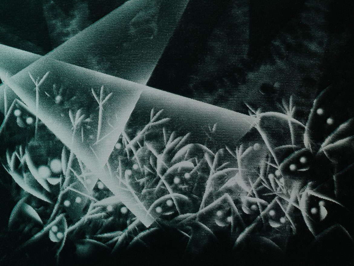 Great Annual Party of the Creatures of the Moon - La Cité du Court